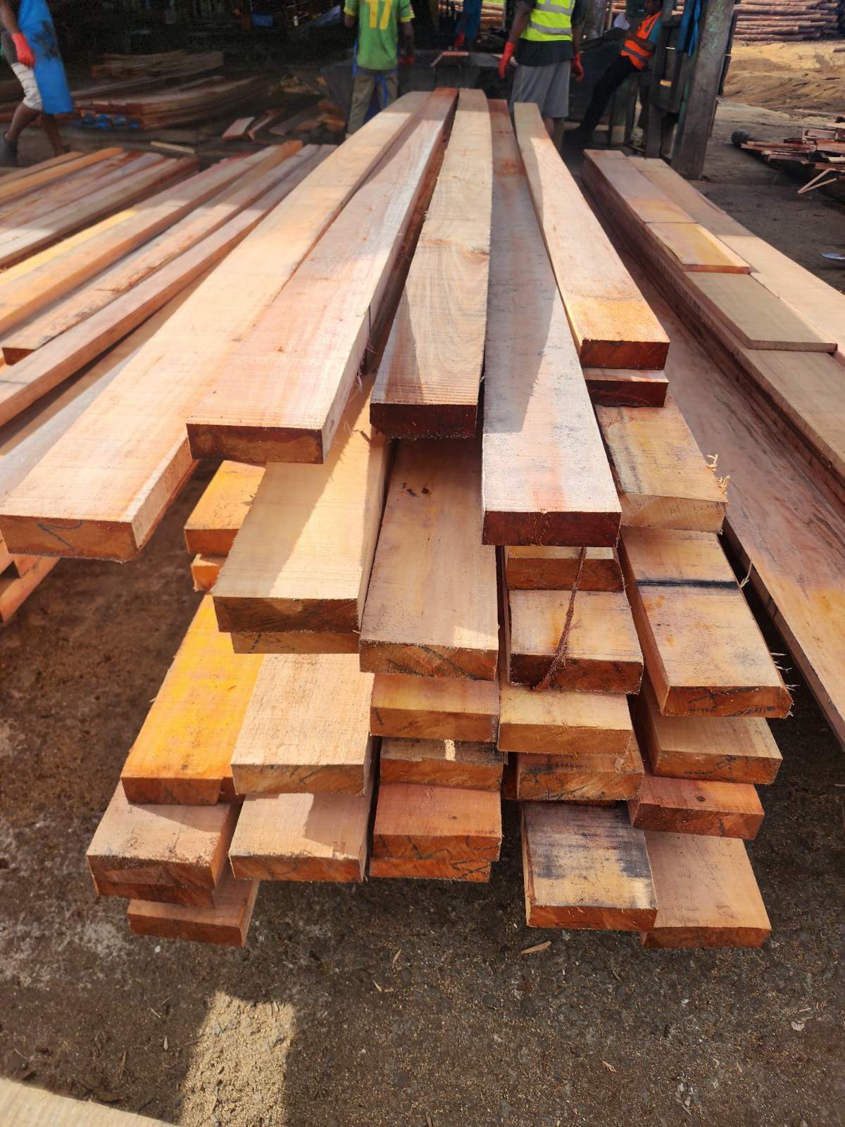 Waiqele Sawmill PTE Limited — Sustainable Timber from Fiji